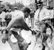 National Dog Day: Black People's Complicated History With Dogs