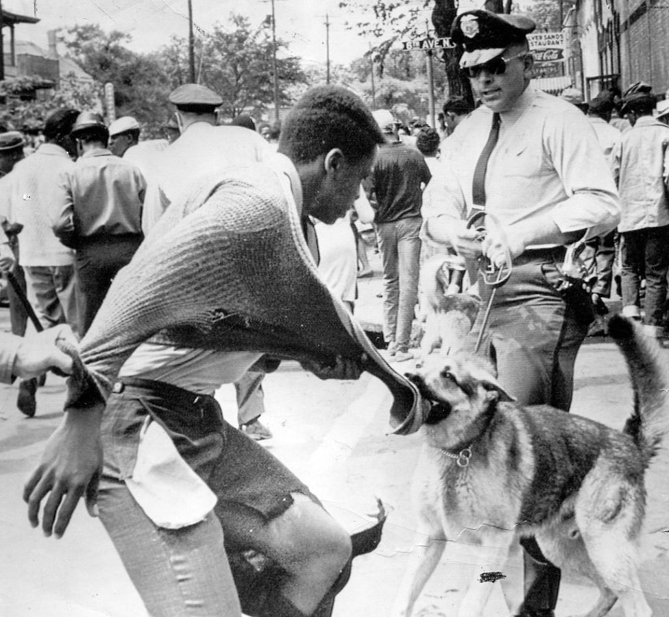 National Dog Day: Black People's Complicated History With Dogs