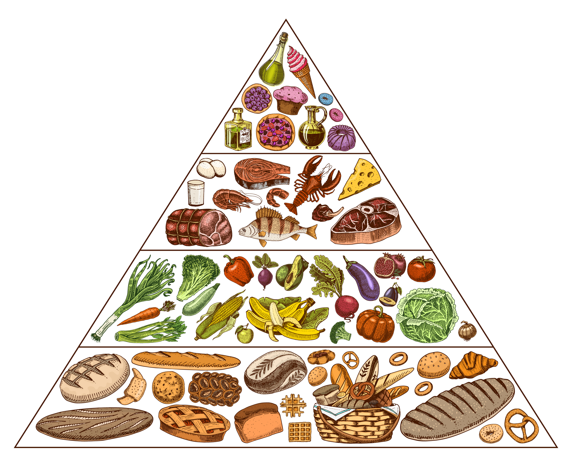 New Food Pyramid Vs. The Old: Complete Guide For 2026